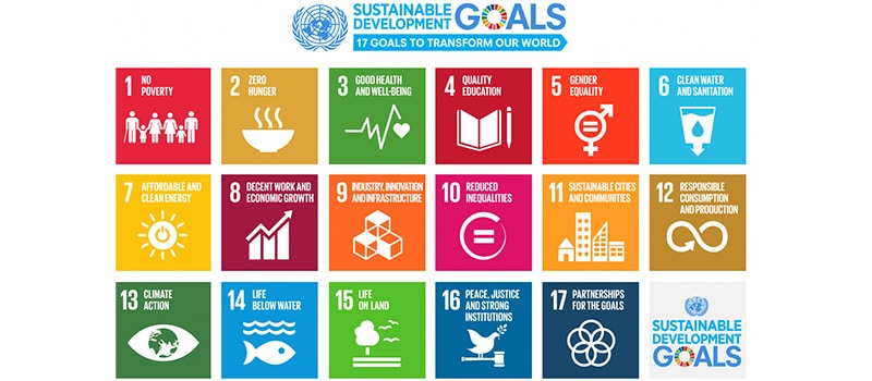 New Policy Paper: Social Work and the United Nations Sustainable ...