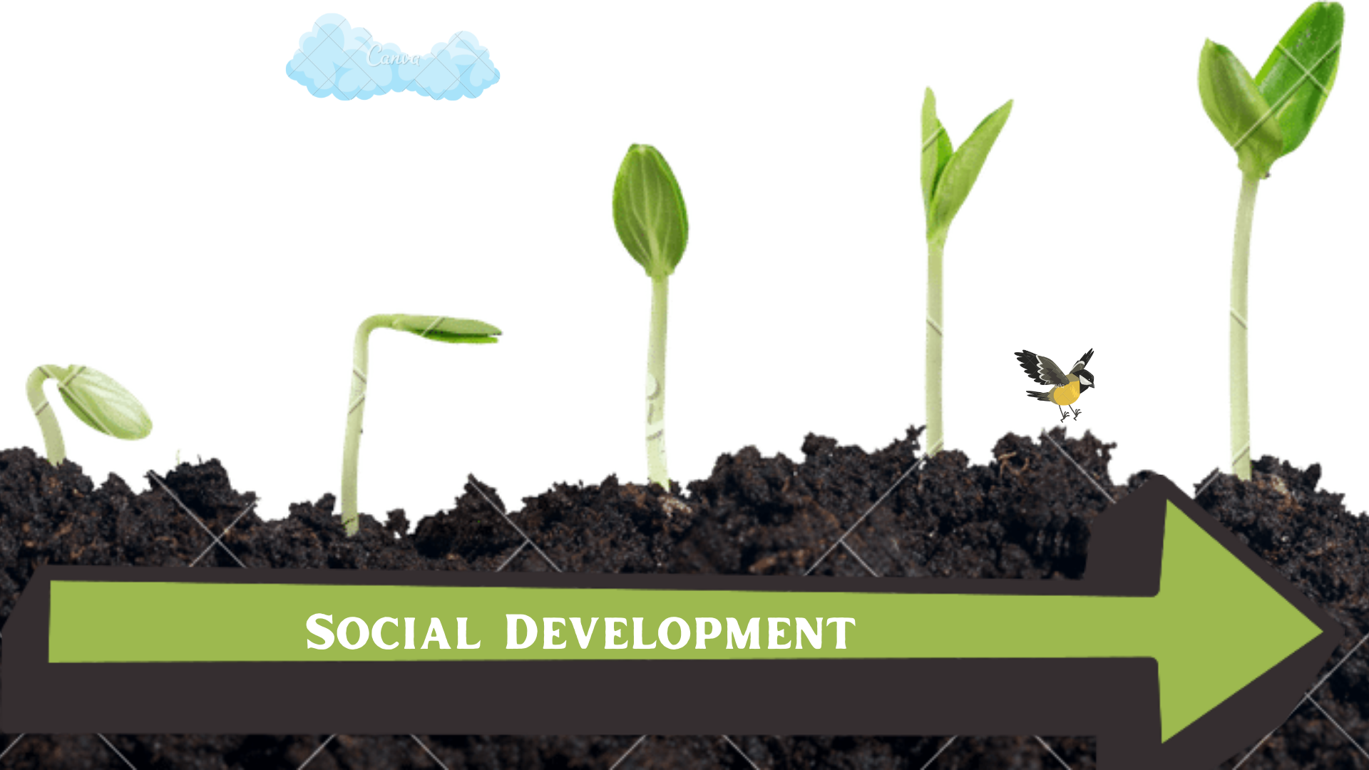 The IFSW statement to the UN 60th Session of the Commission for Social ...