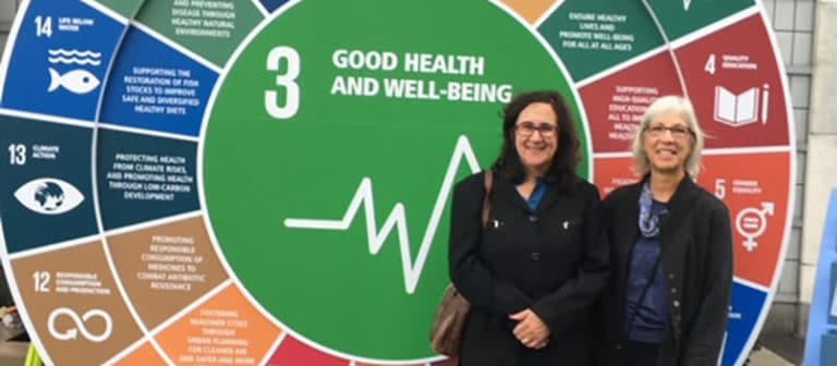 IFSW UN Representatives attend United Nations Sustainable Development Goals Summit ...