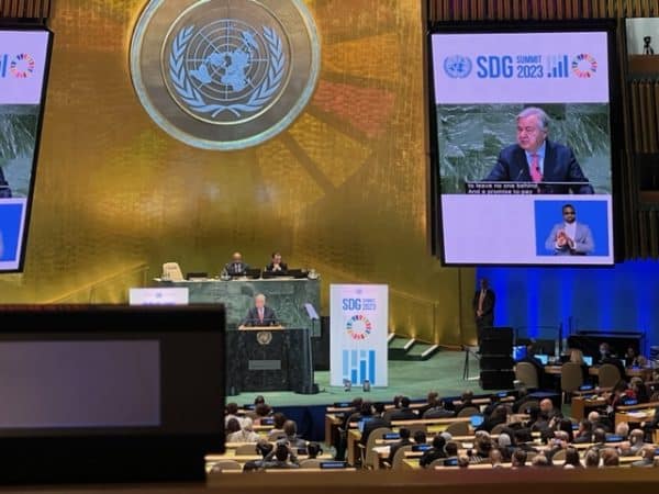 IFSW UN Representatives attend United Nations Sustainable Development ...