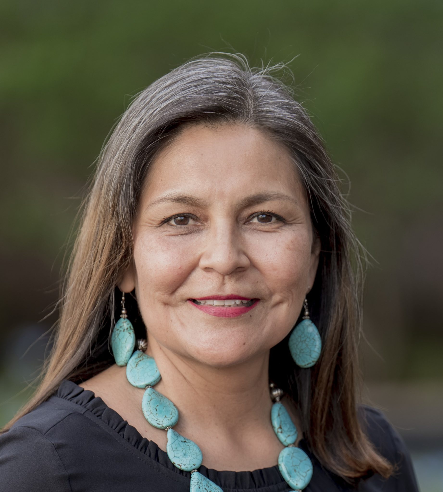 Indigenous Commission – International Federation of Social Workers